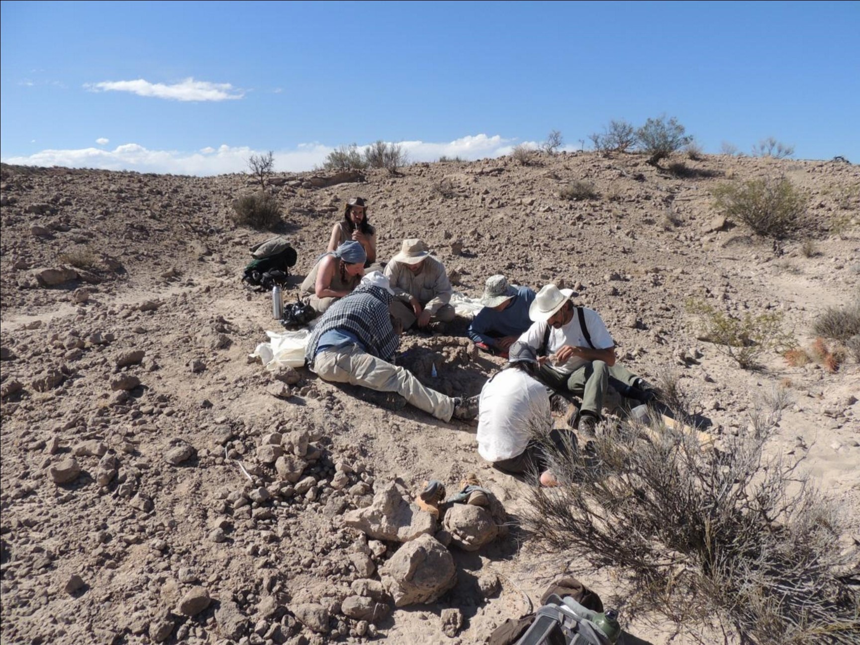 Una nueva fauna de 236 millones de años de América del Sur | CI
